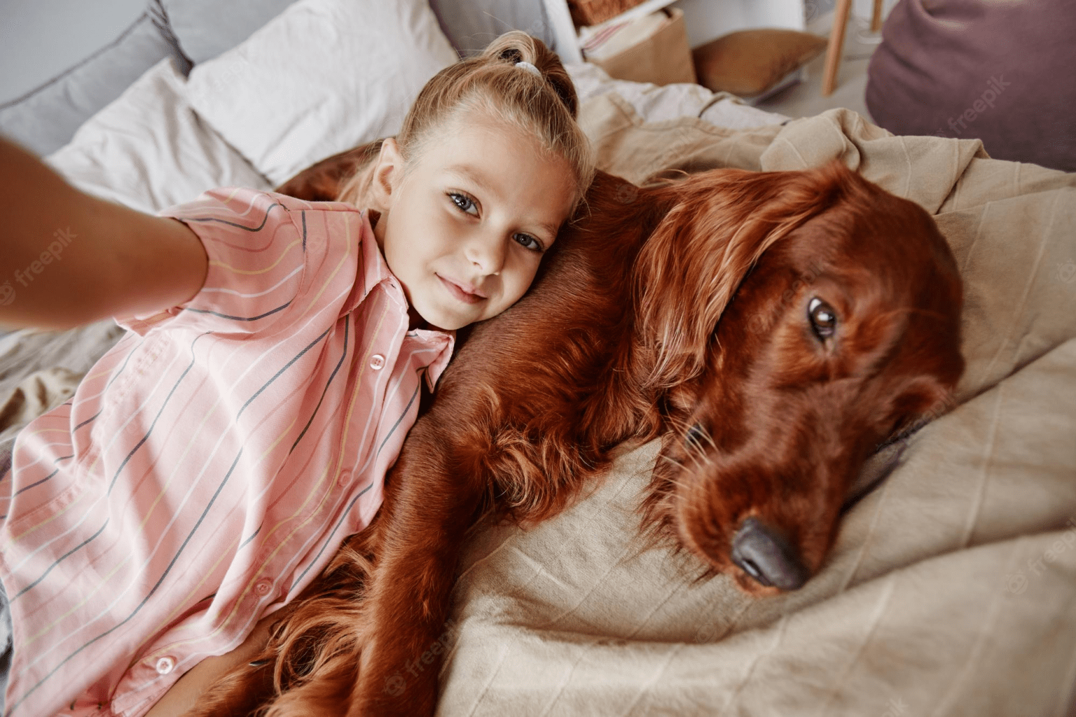 Les 5 chiens les plus gentils avec vos enfants