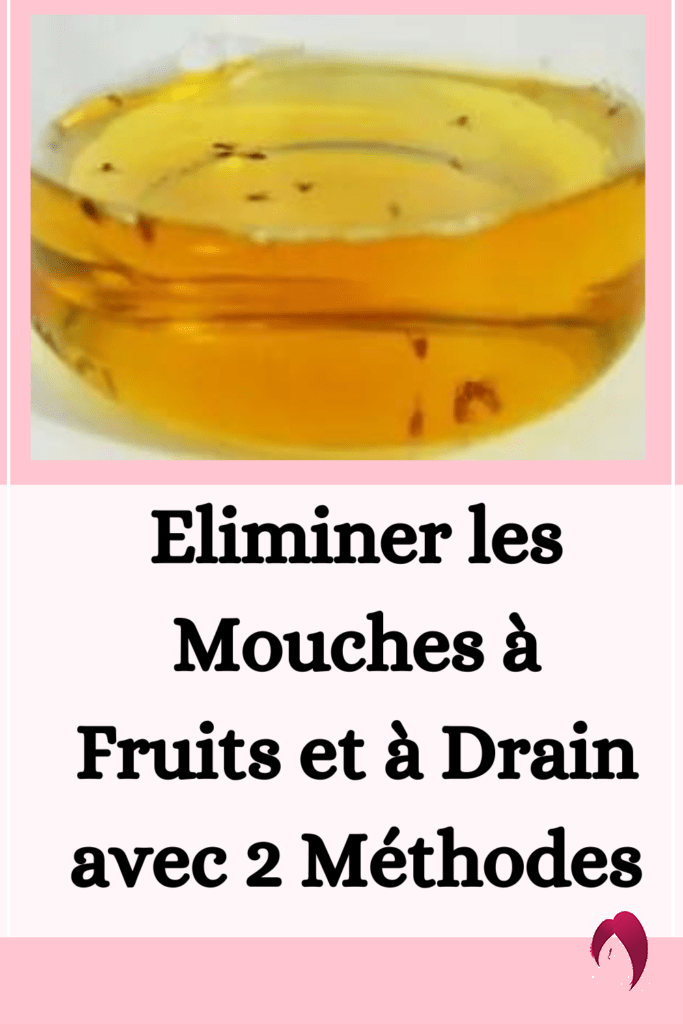 Éliminer les mouches à fruits et à drain avec 2 méthodes
