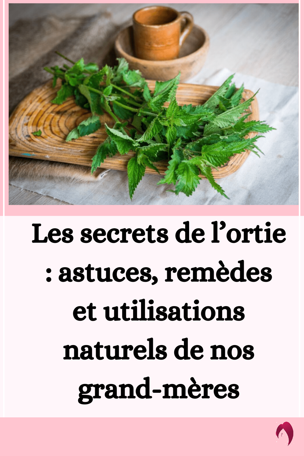 Les secrets de l’ortie