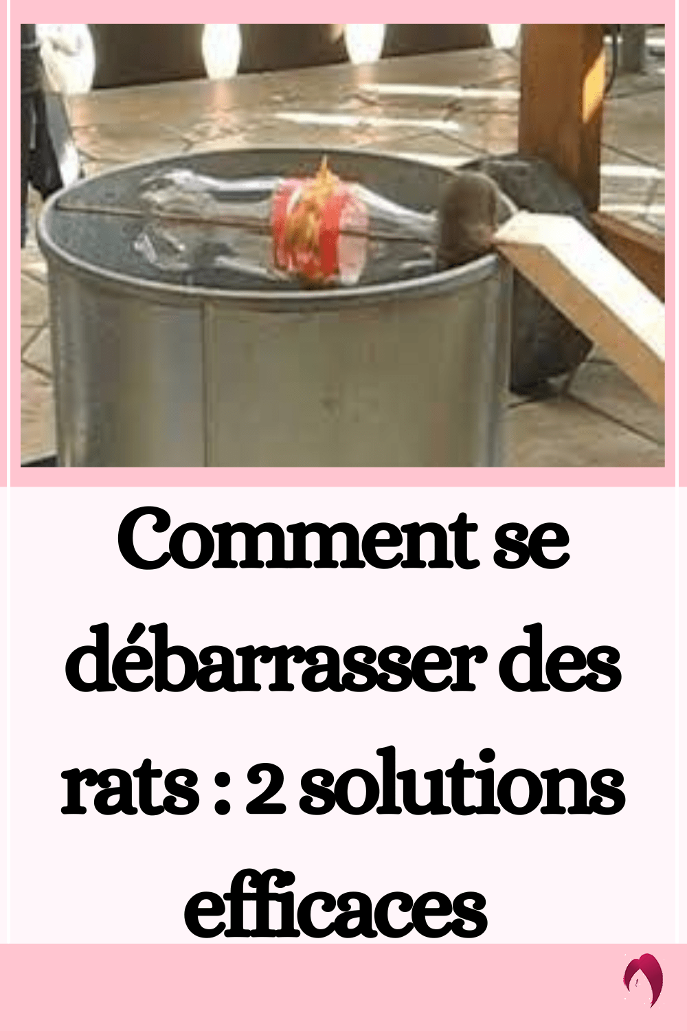 Comment se débarrasser des rats : 2 solutions efficaces