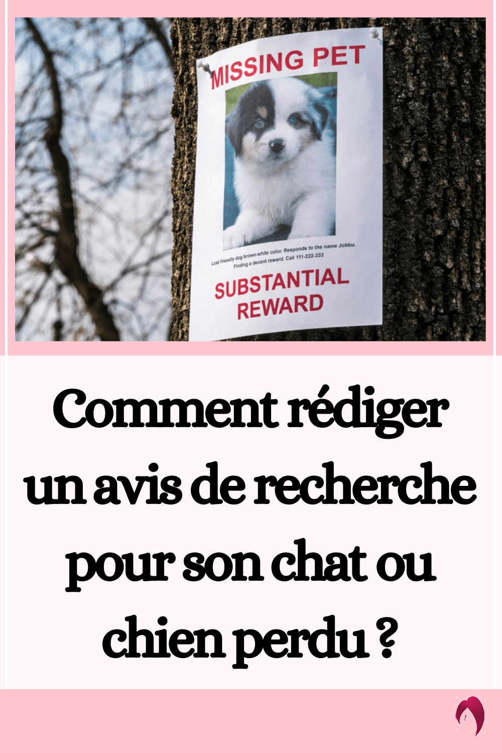 Comment rédiger un avis de recherche pour son chat ou chien perdu