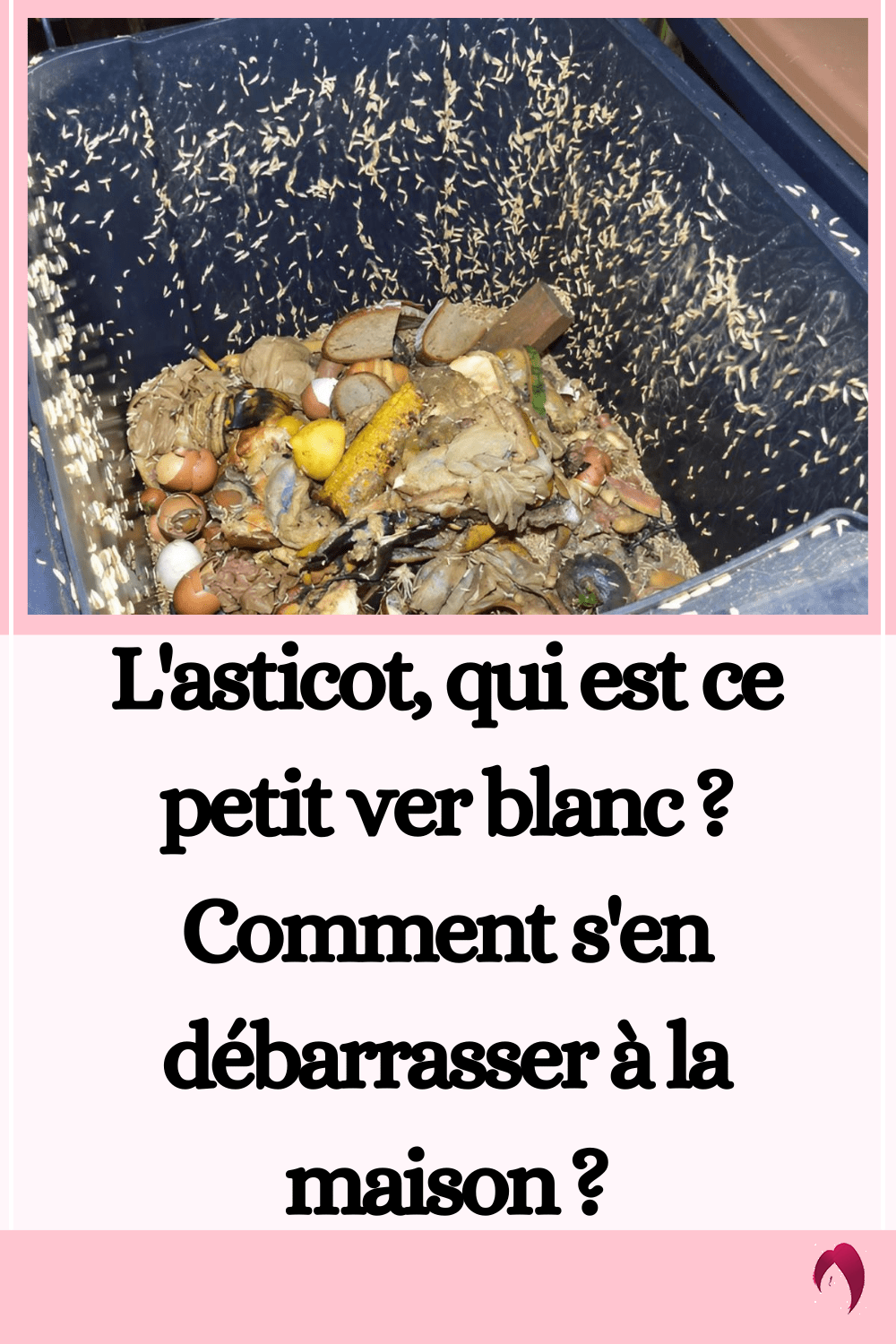 L'asticot, qui est ce petit ver blanc ? Comment s'en débarrasser à la ...