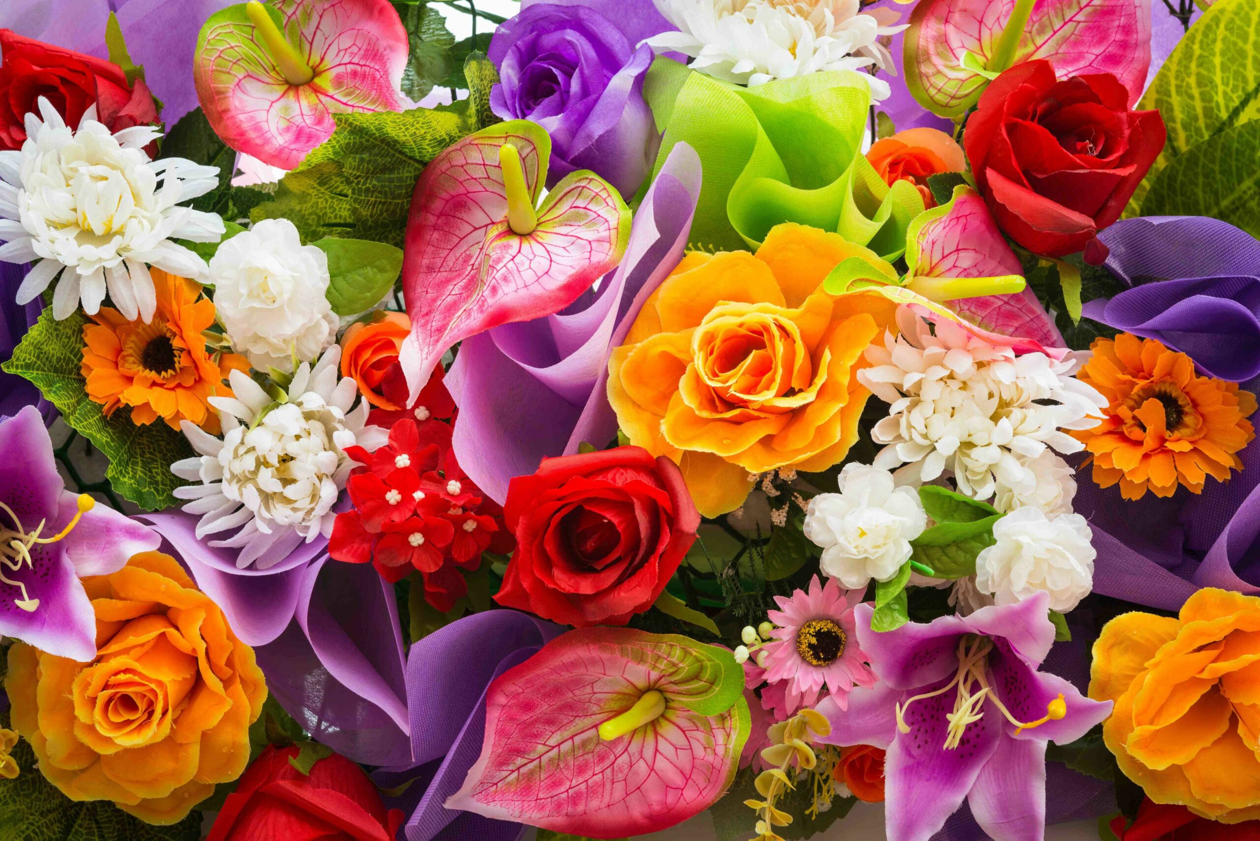 La signification des fleurs et leurs couleurs les plus courantes