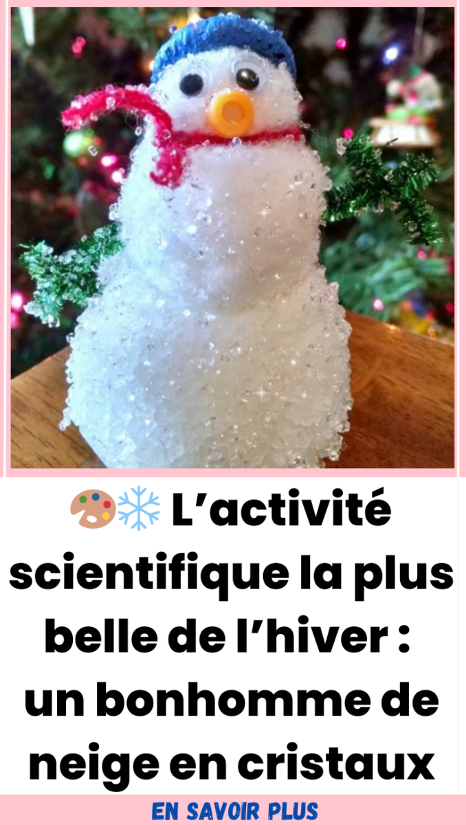 Une activité qui marie science et art: un joli bonhomme de neige en ...